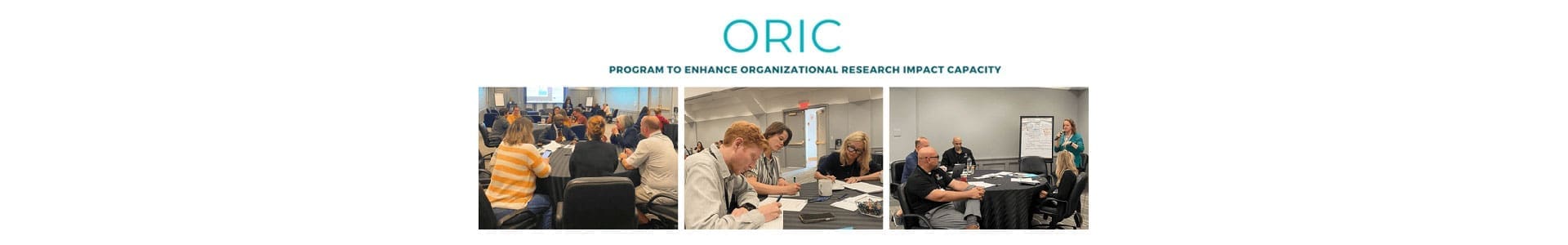 ORIC Program | Build Institutional Research Impact Capacity | ARIS